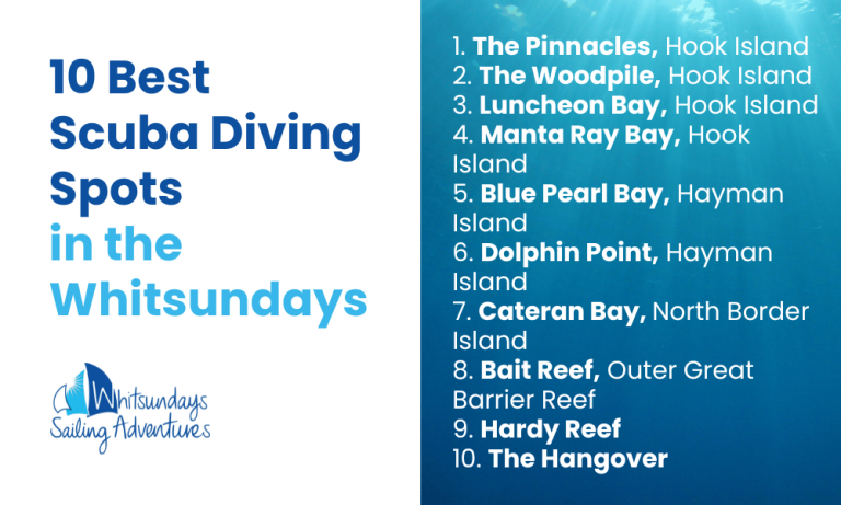 10 Best Scuba Diving Spots in the Whitsundays